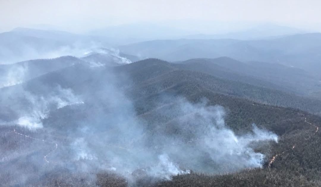 Fire crews wind back Brassknocker bushfire fight - Power FM Bega Bay
